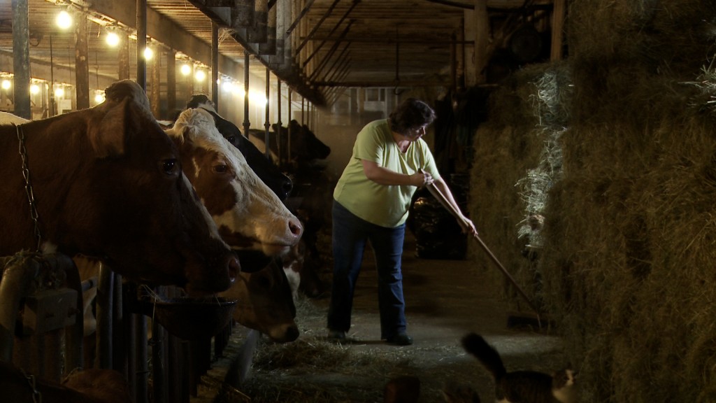 Film Review: BETTING THE FARM (directed by Cecily Pingree and Jason ...
